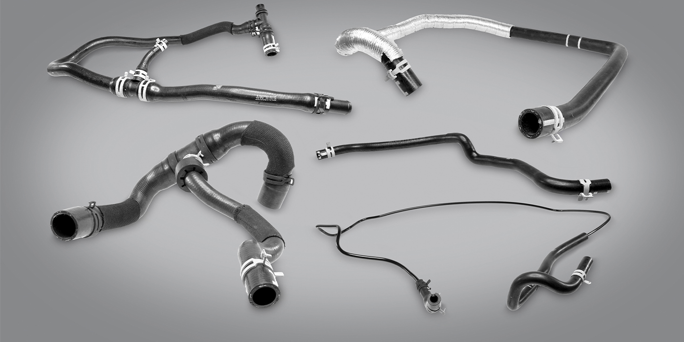 When to Replace Belts and Hoses: Symptoms,… | Westside Auto